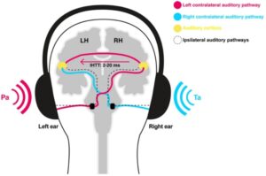 Why Headphones Sound Different in Each Ear & How to Fix Them